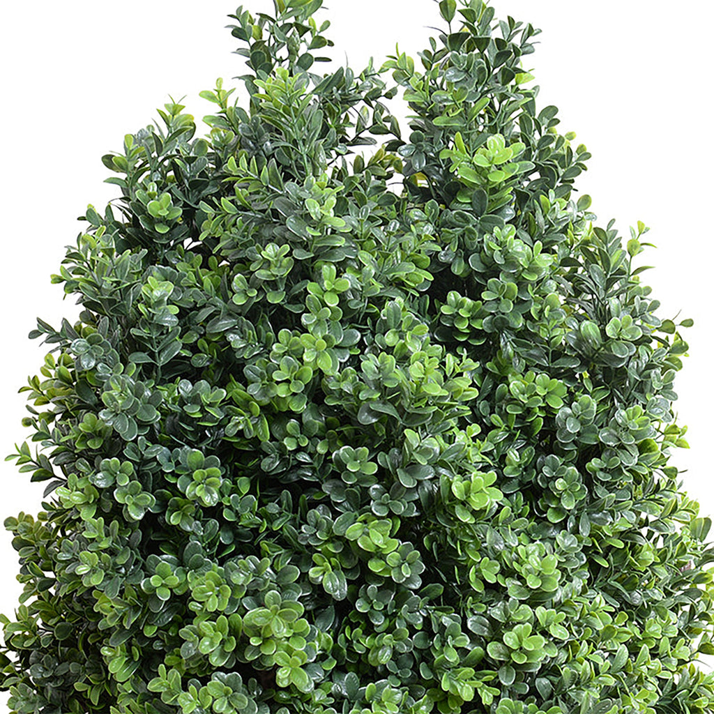 Enduraleaf Boxwood Shrub – Willow Creek Designs