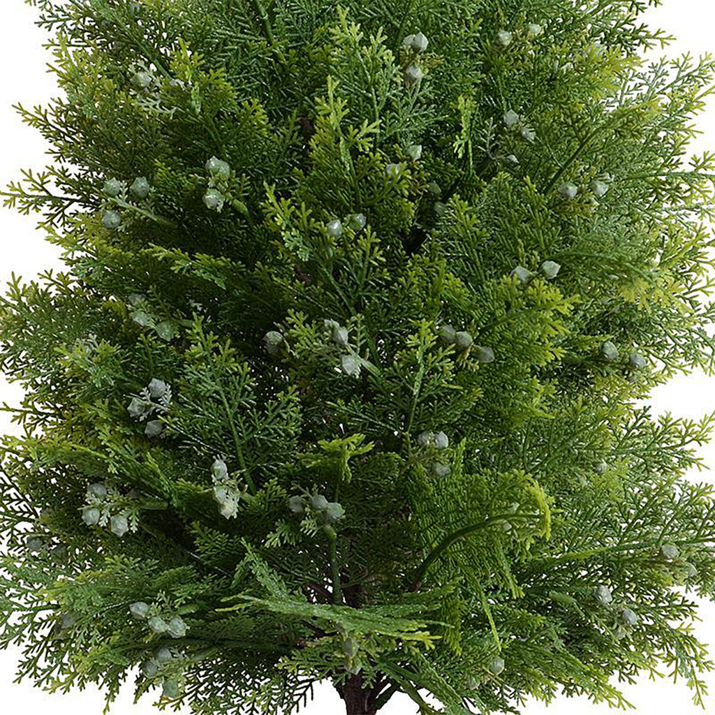 Enduraleaf 32" Arborvitae Shrub – Willow Creek Designs