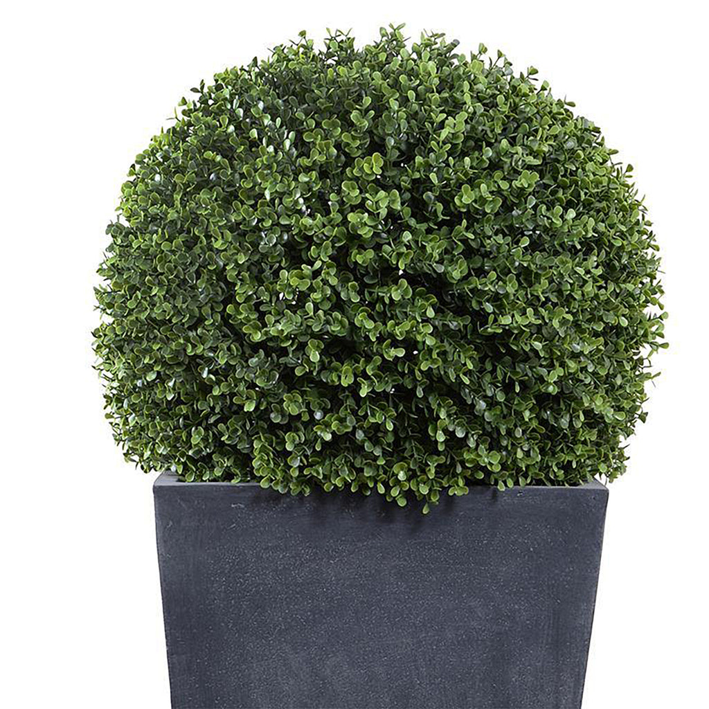Enduraleaf Boxwood Ball in Tapered Column – Willow Creek Designs