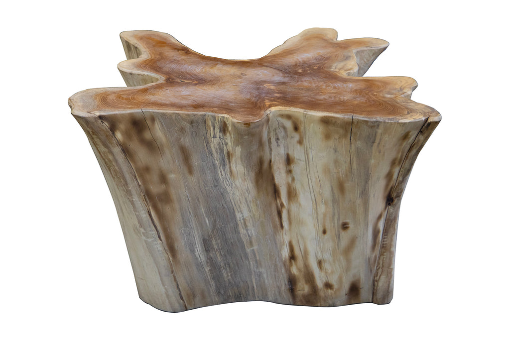 Teak Large Tree Stump Coffee Table – Willow Creek Designs